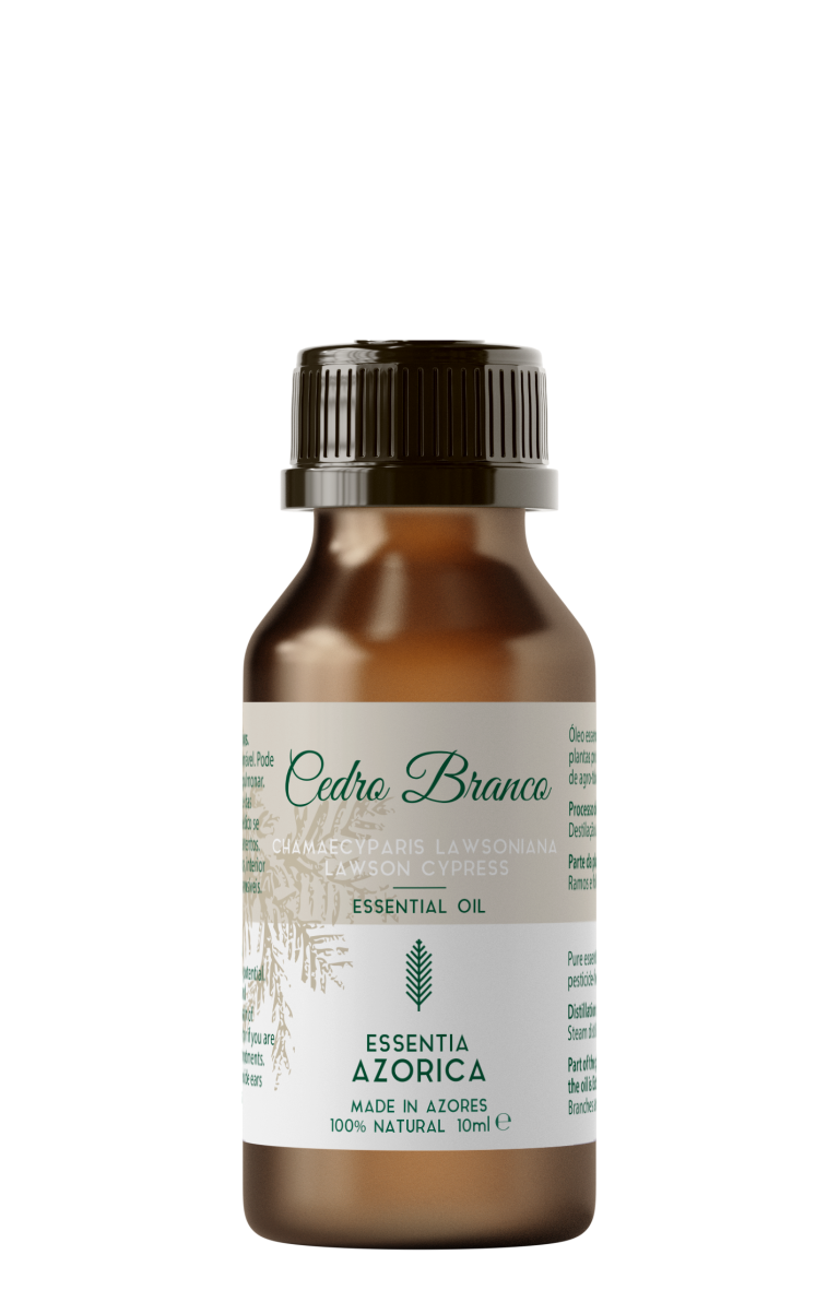Essentia Azorica - Cedro Branco (Chamaecyparis Lawsoniana) - Essentia ...